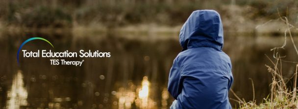Therapeutic & Educational Services | Total Education Solutions