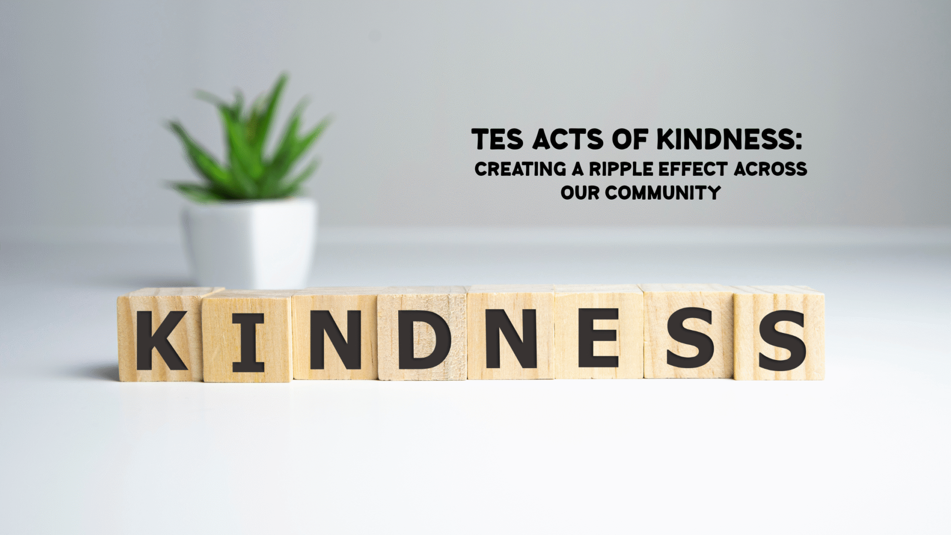 TES Acts of Kindness: Creating a Ripple Effect Across Our Community ...